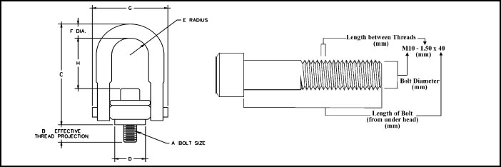 Standard Swivel Hoist Rings - American Rigging and Supply